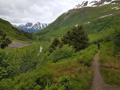 Johnson Pass Trail Mountain Bike Trail, Girdwood, Alaska