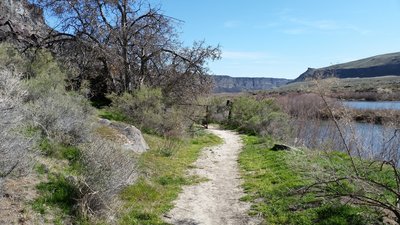 Halverson Lake Trail Mountain Bike Trail, Murphy, Idaho