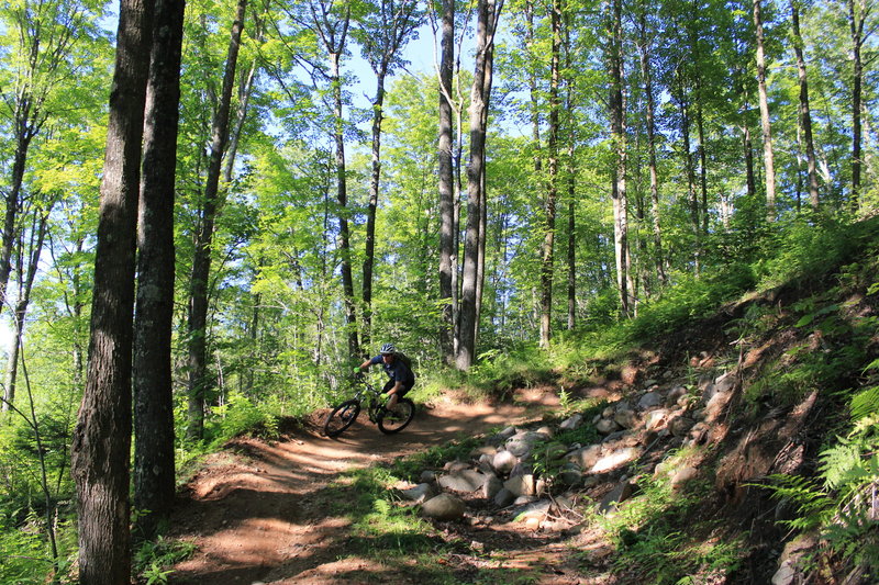 The big berm on Yellow Trail