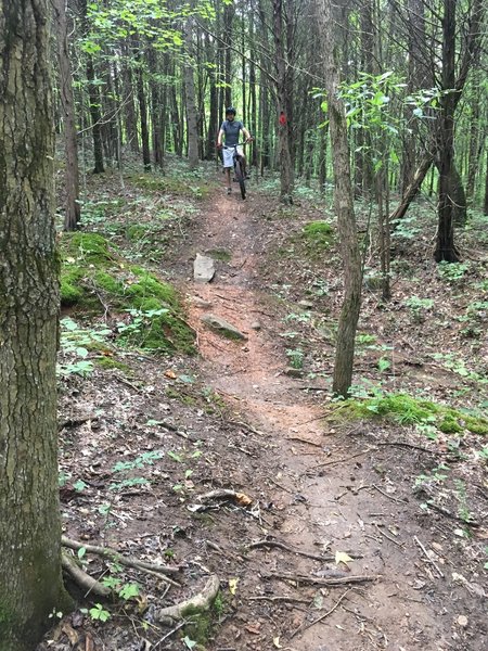 Hard and beautiful trail.