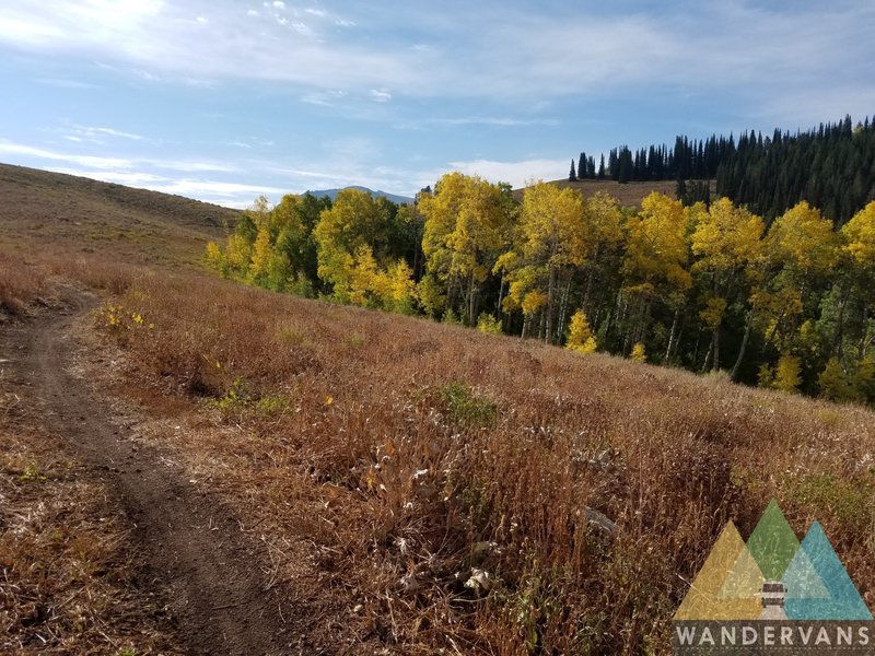 Fall is just around the corner.