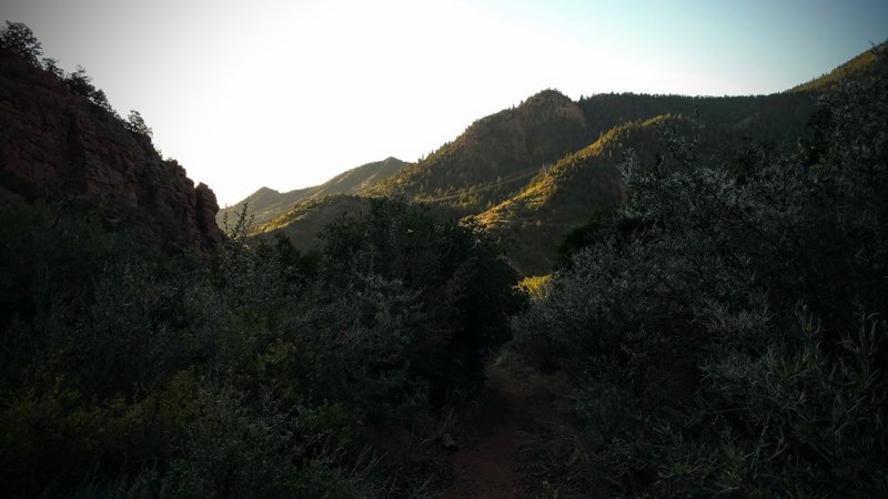 Ute Pass Trail Mountain Bike Trail, Manitou Springs, Colorado