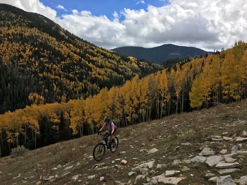 Wide open meadows of Spring Creek Trail.
