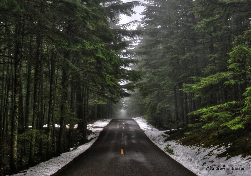 Mt. Constitution Trail Mountain Bike Trail, Orcas Island, Washington