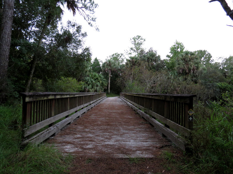 Flagler Trail Mountain Bike Trail, Chuluota, Florida