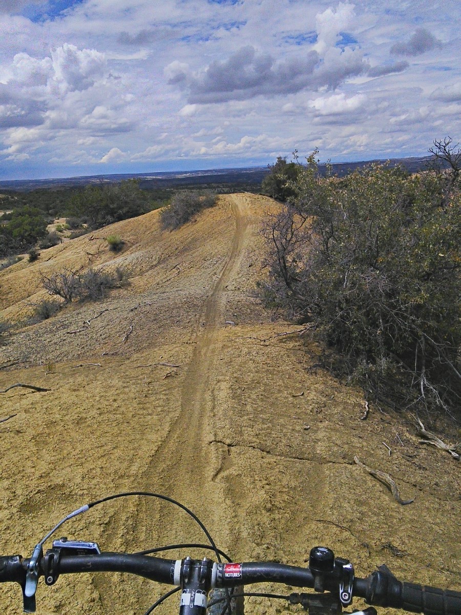 Sandy ridge trail.