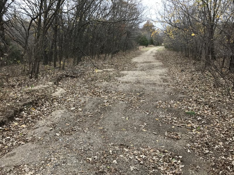 Trail is washed out here. I should have got a closer picture, the ruts ...