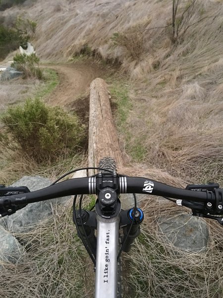 Optional Technical Feature: Log Ride installed on side of trail.