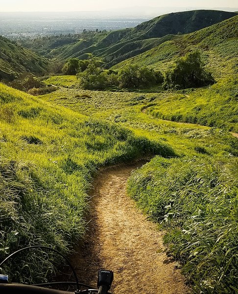 Turnbull Canyon Mountain Bike Trail, Whittier, California
