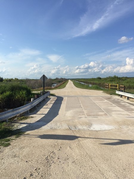 Roach Rd Mountain Bike Trail, Zellwood, Florida