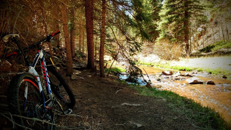 Mule Creek Trail Mountain Bike Trail, Woodland Park, Colorado