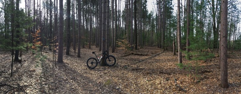 The final section of the Lost Lake Pathway headed to the lot through ...
