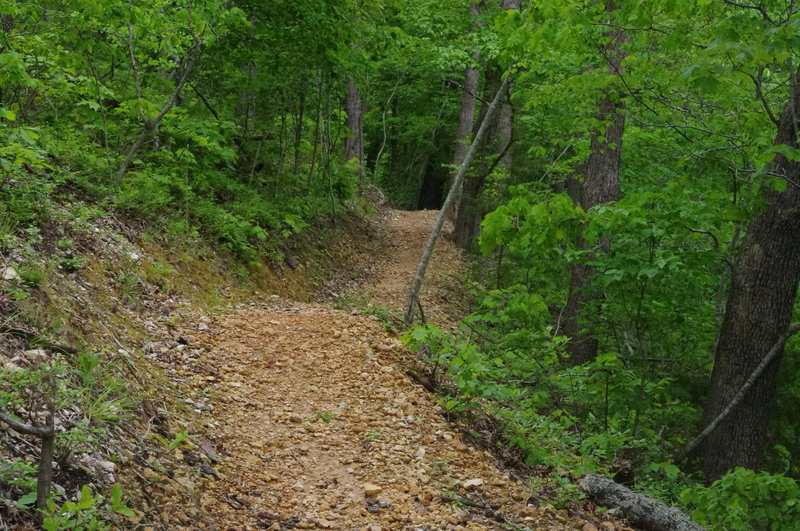 Nice wide full bench cut, this is a well made trail!