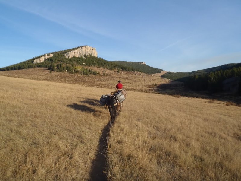 You may find some trail users with more than two legs.