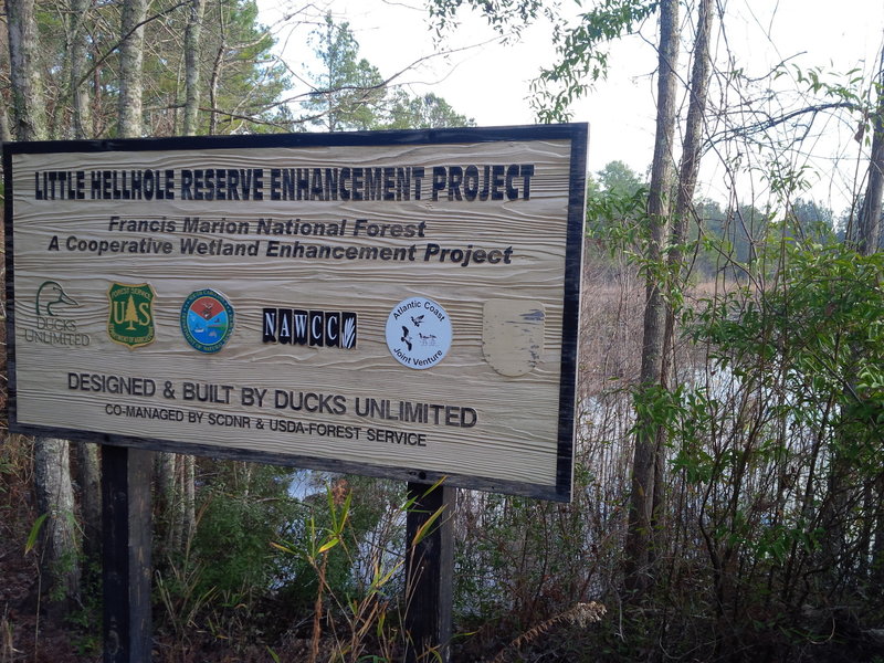 Palmetto Trail - Swamp Fox Passage at Little Hell Hole Bay.