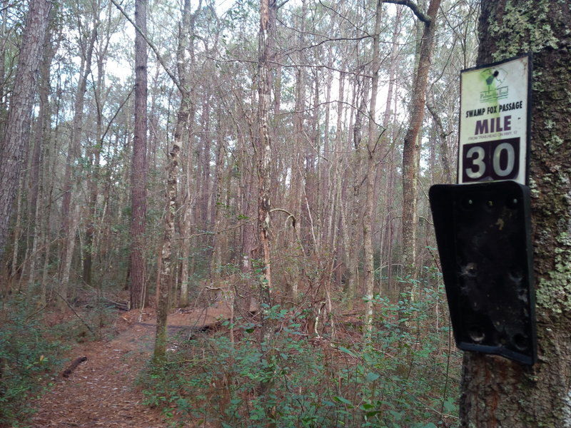 Palmetto Trail - Swamp Fox Passage Mile Marker 30.