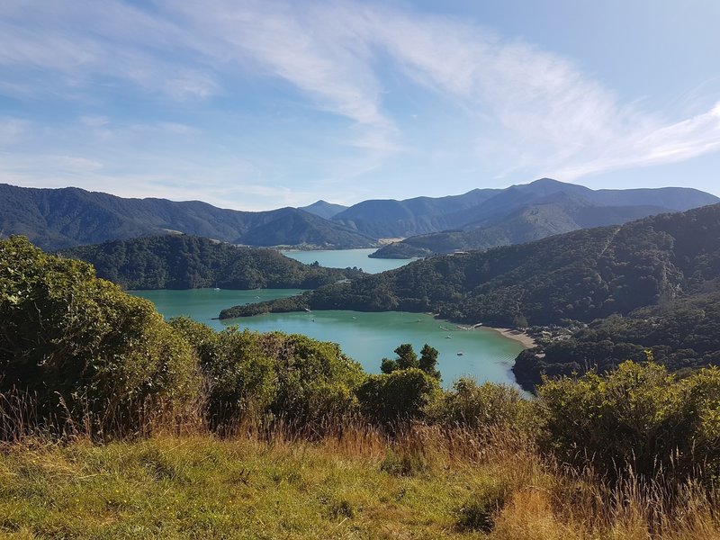 Queen Charlotte Track: Torea Saddle to Mistletoe Bay Mountain Bike ...