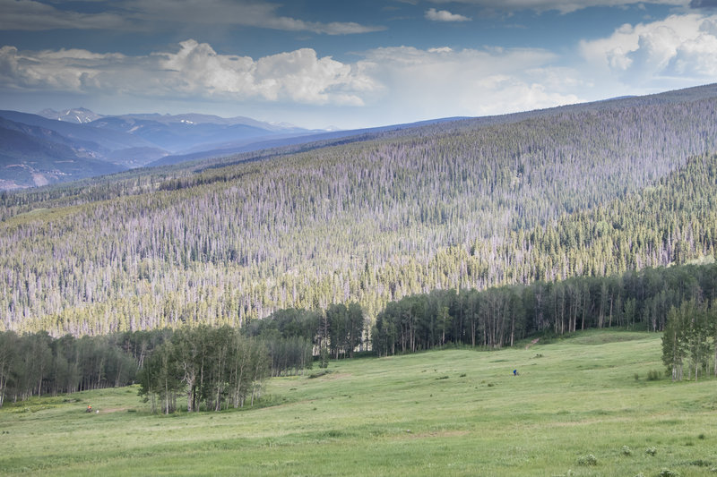 It's a long climb up Line Shack, but the descent on the other side is ...