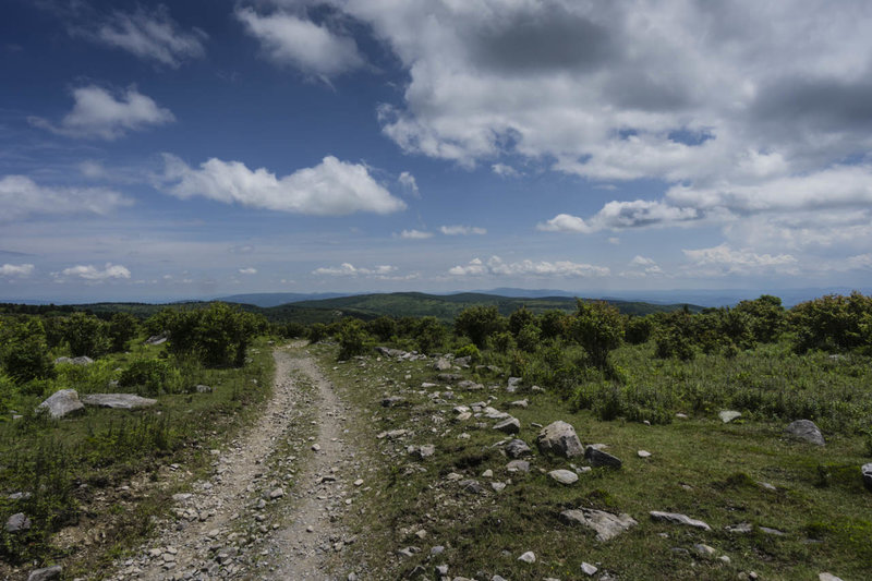 Mount Rogers Mountain Bike Trail, Marion, Virginia
