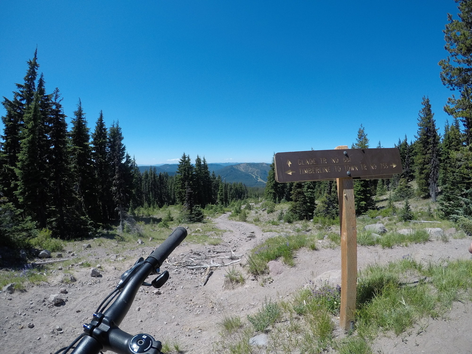 Glade Trail where Timberline To Town crosses it. Ski Bowl slopes way ...