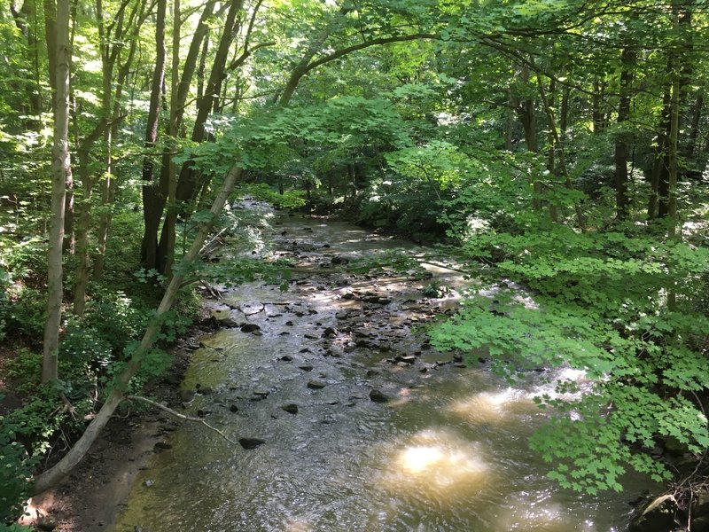 Roaring Run Trail Mountain Bike Trail, Apollo, Pennsylvania