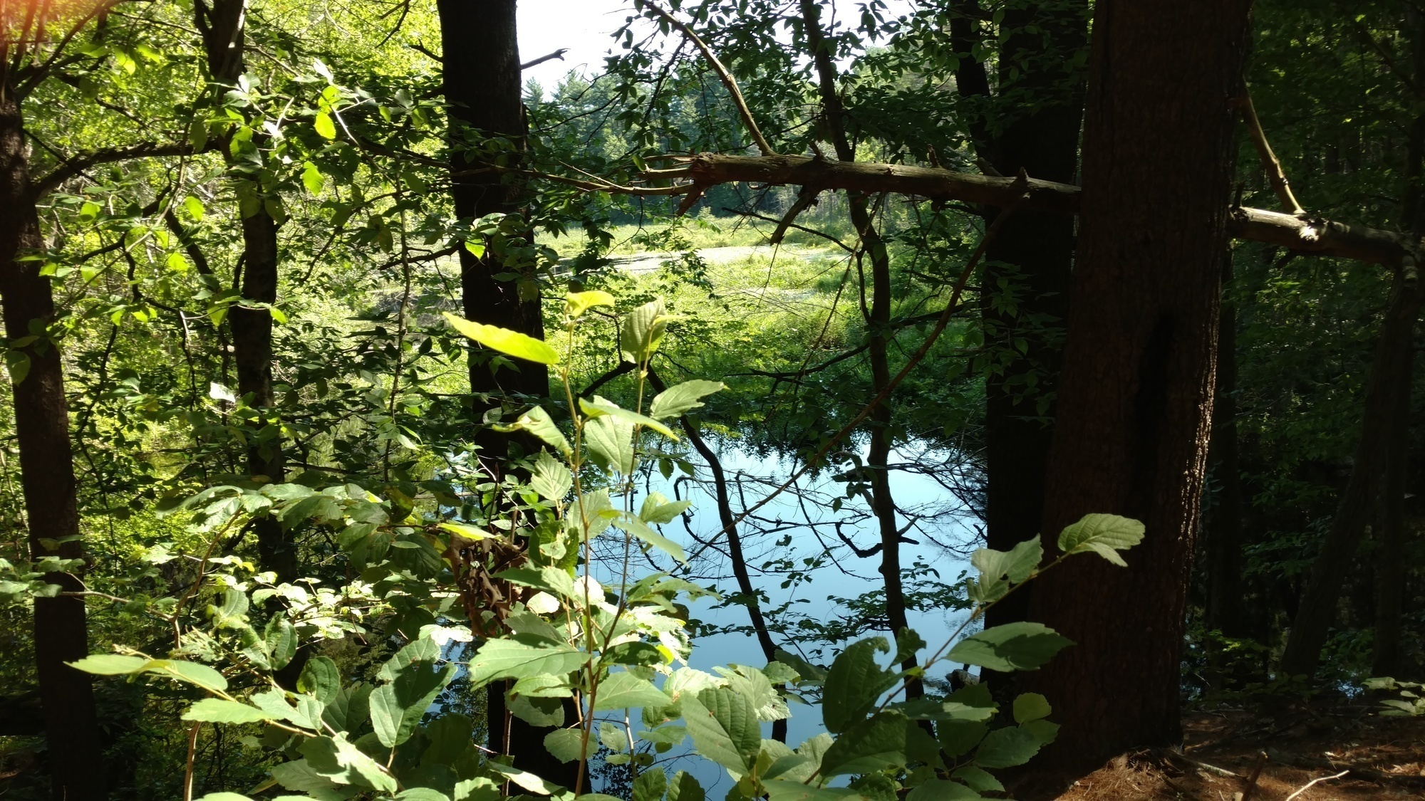 One of Great Brook Farm's many hidden scenic views.