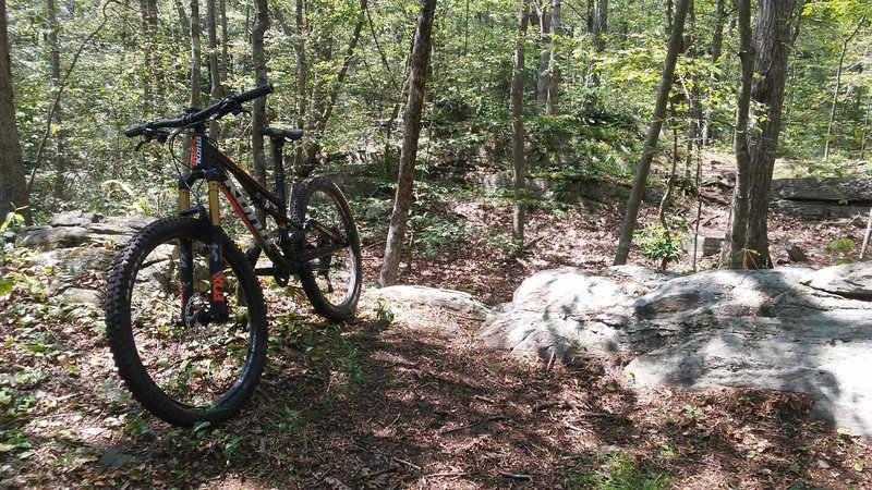 Red Trail Mountain Bike Trail, Durham, Connecticut
