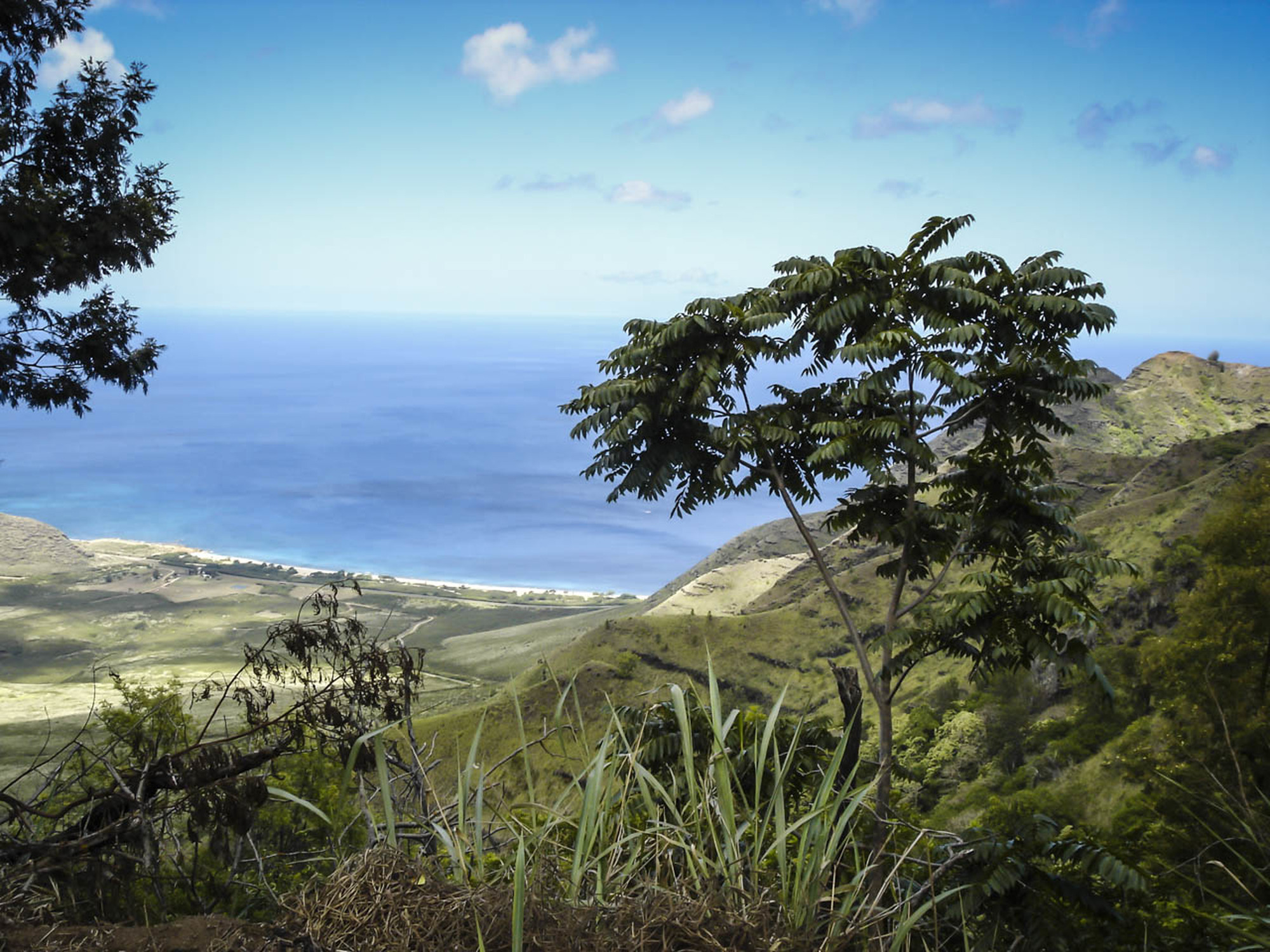 Views of the West coast of Oahu abound from the Peacock Flats Loop.