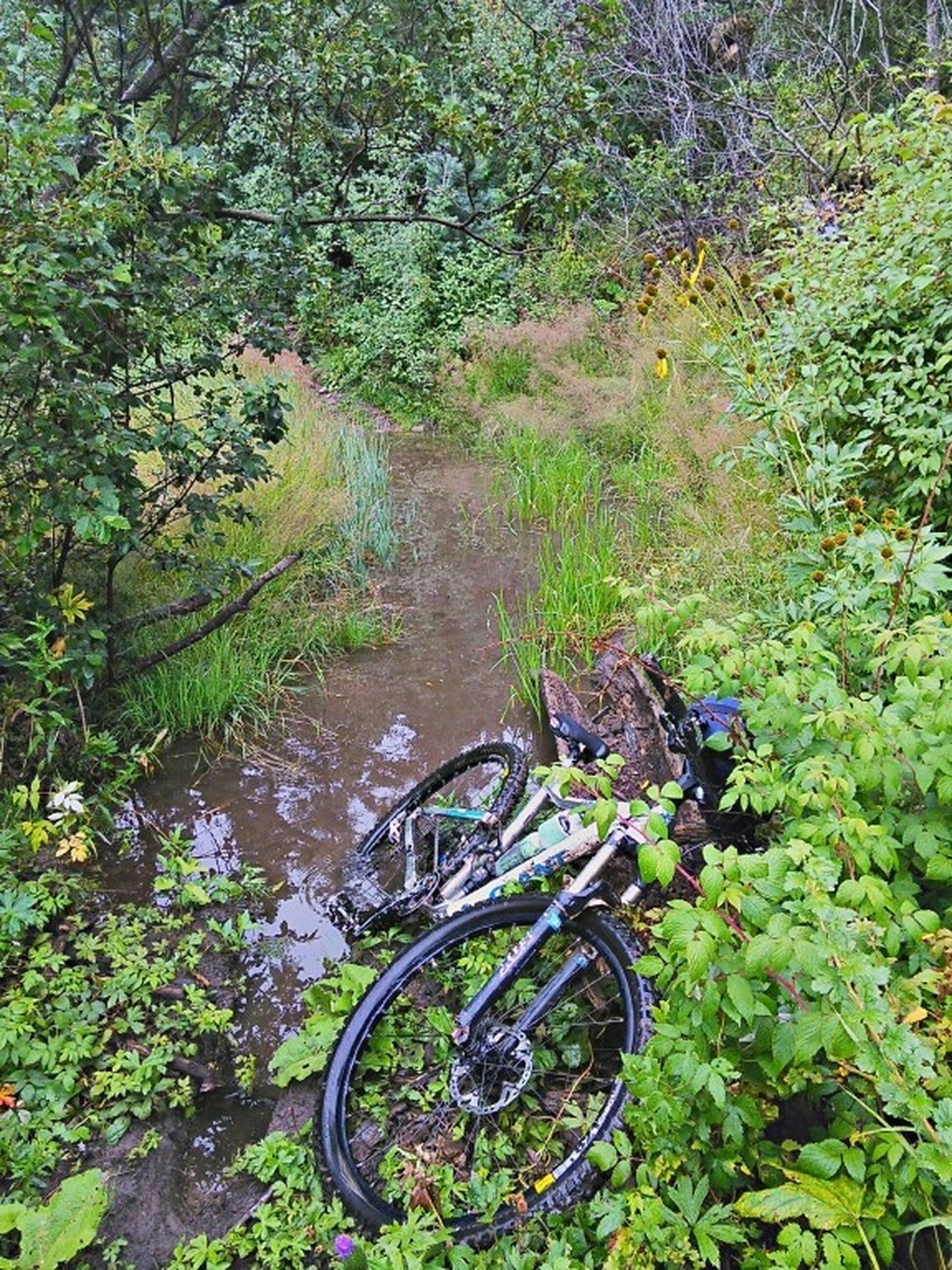 Deep swampy mud pit has no bypass