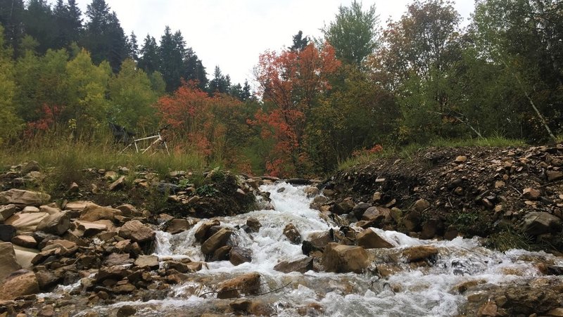 My wife and I stopped by a spring running next to the Big Spring Hollow ...