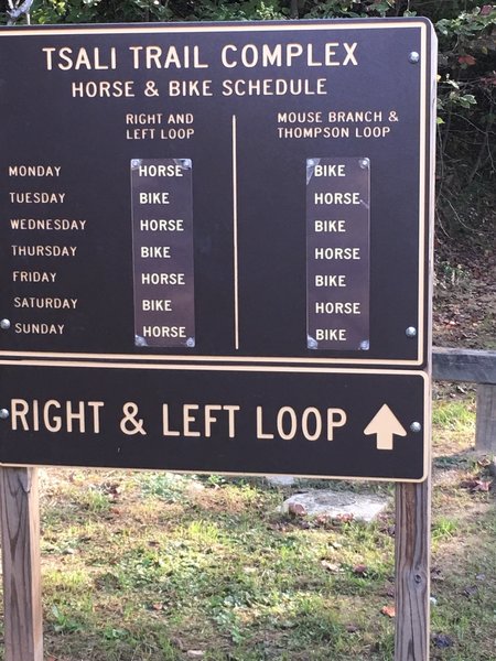 Tsali Right Loop Mountain Bike Trail, Bryson City, North Carolina