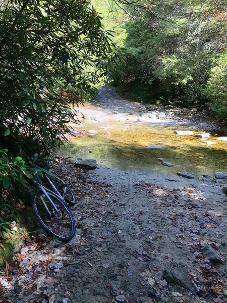Lindy Run Trail Mountain Bike Trail, Davis, West Virginia