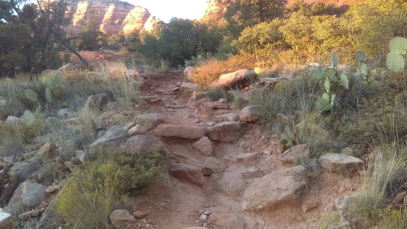 Typical Chapel trail. Fun in spots, but very technical