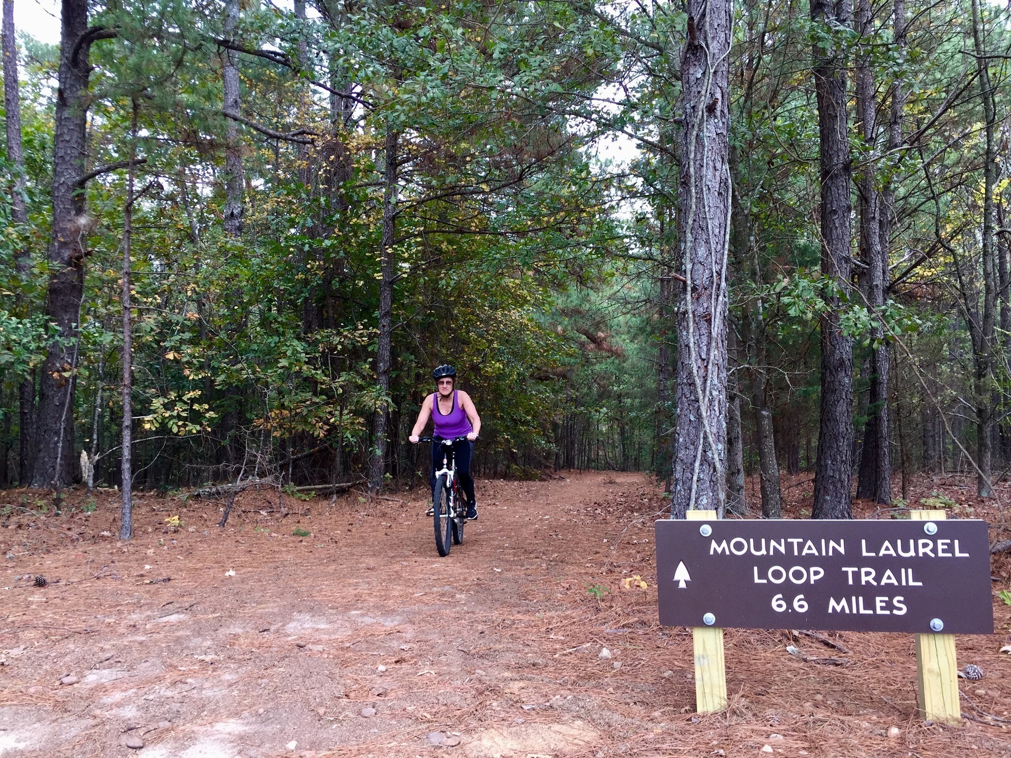 Entrance to the Mountain Laurel Loop Trail.