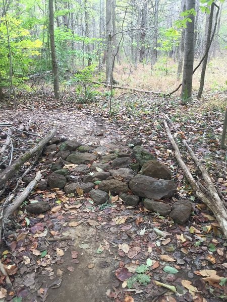 Nice rock garden feature near Phase 1 of Bacon Ridge Trail