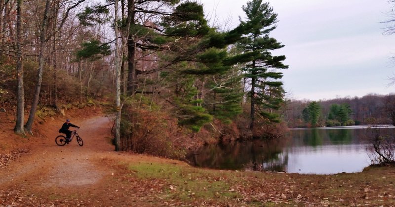 Mountain Biker at Lake Hopewell in Huntington State Park, Redding, CT