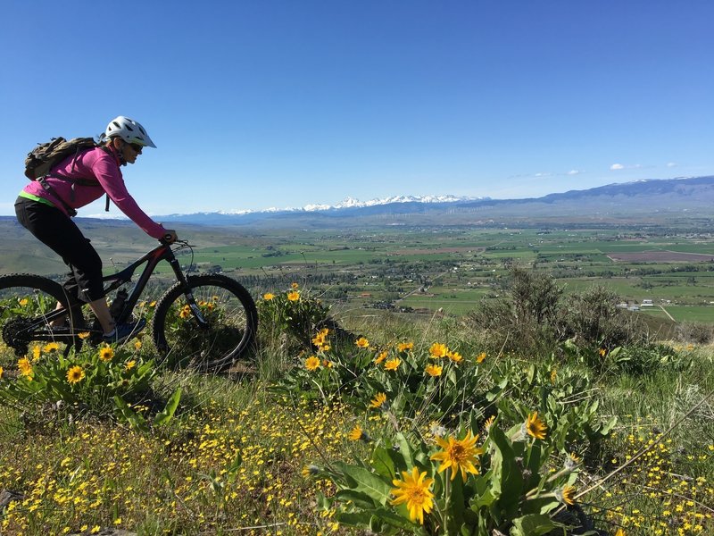 Manastash Ridge Northface Ride Mountain Bike Trail, Ellensburg, Washington