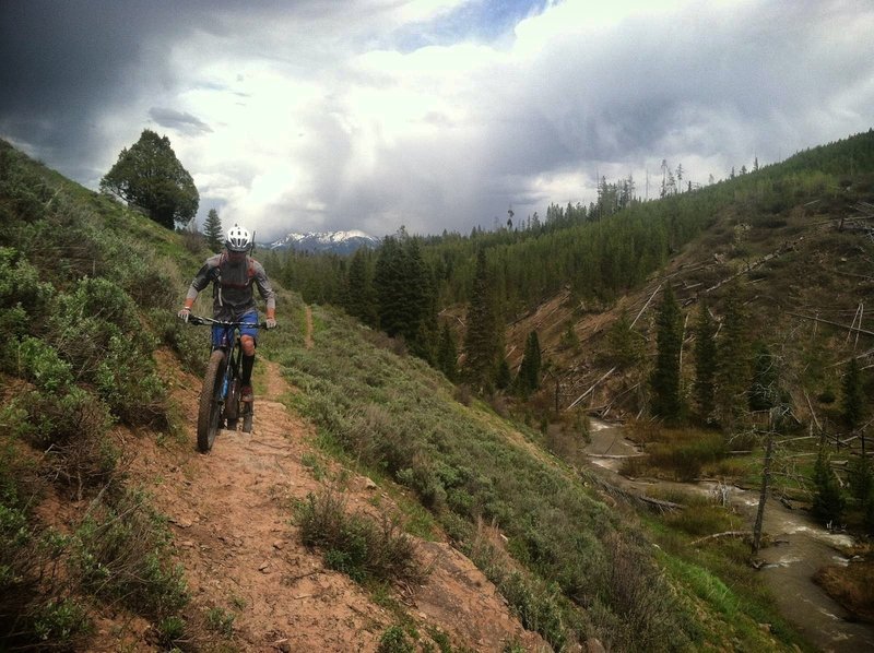 Exposed bench-cut trail along Jackknife Creek