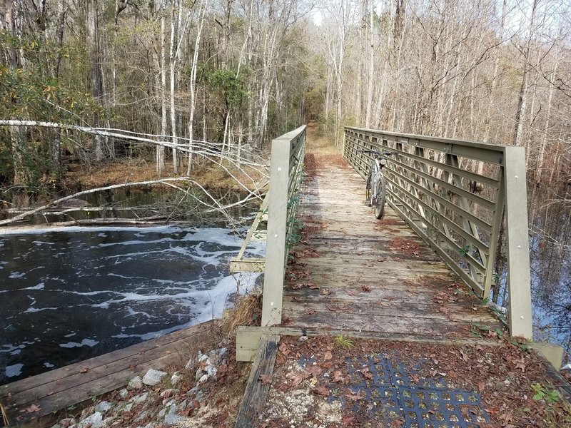 Palmetto Trail - Swamp Fox Passage Mountain Bike Trail, Bonneau Beach ...