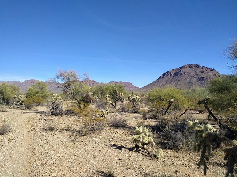 Caliche Flats Trail Mountain Bike Trail, Tucson Estates, Arizona