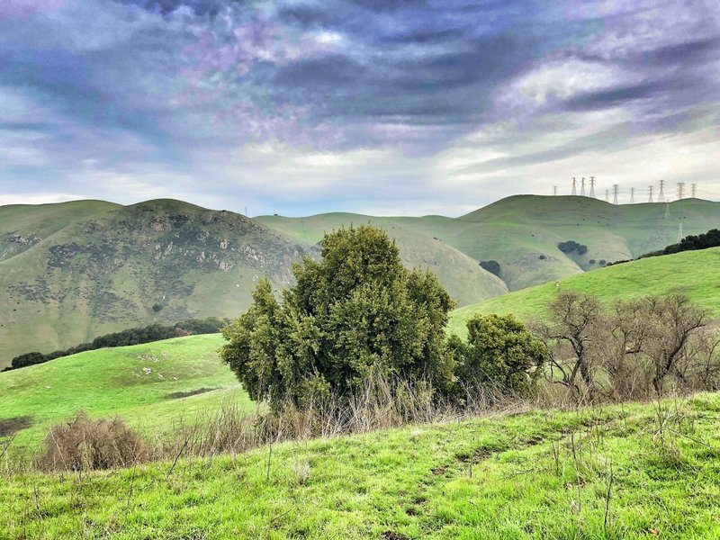 Mission Peak Panorama and YSC Loop Mountain Bike Trail, Fremont, California