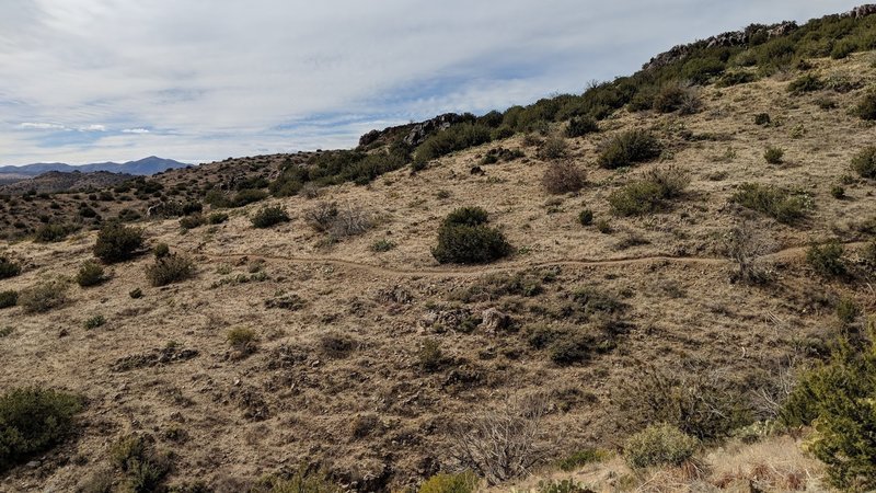 Beautiful bench cut contouring trail along the Copper Mtn. Loop.