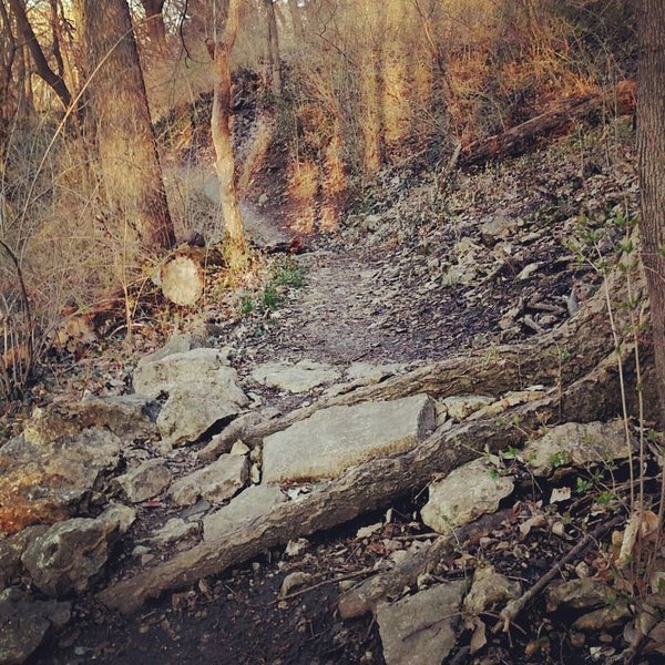 Climbing up Devil's Dip, eastbound.