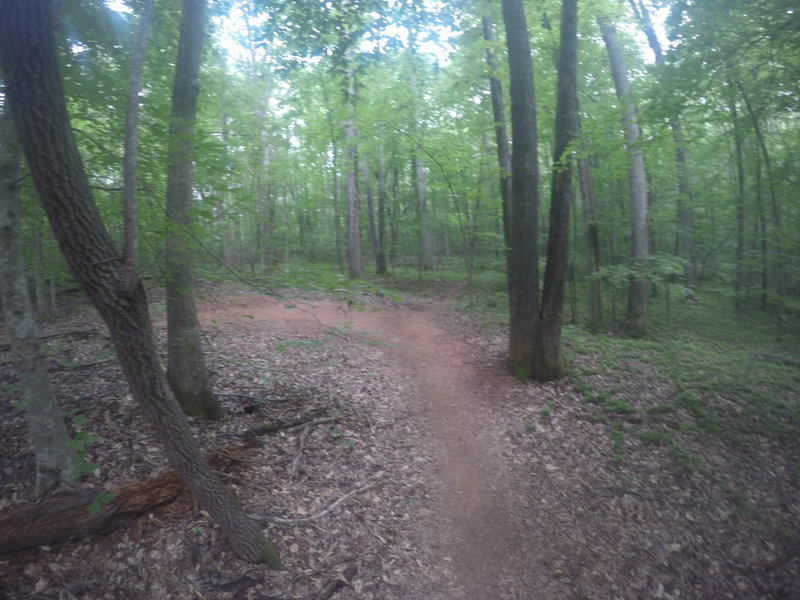 Riding north, go over the top of this left hand berm to continue north ...