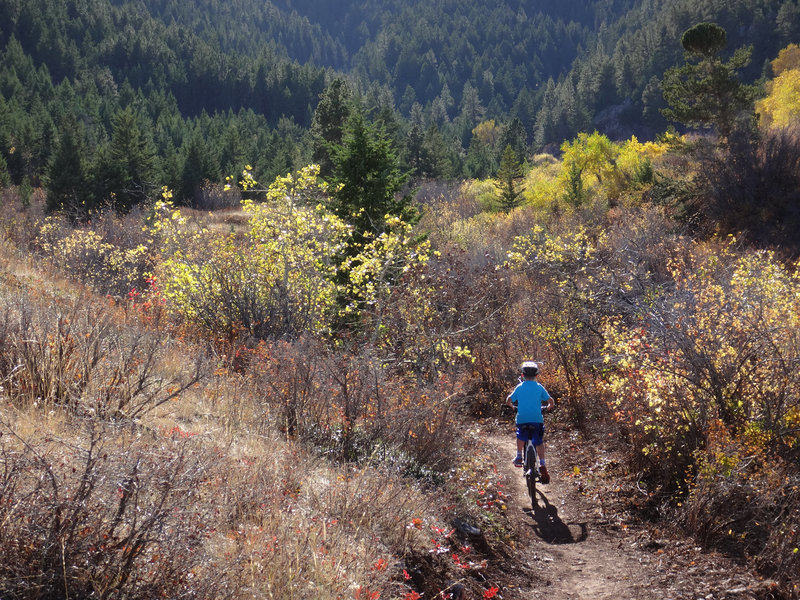 Red Grade Trail System Ride Mountain Bike Trail, Sheridan, Wyoming