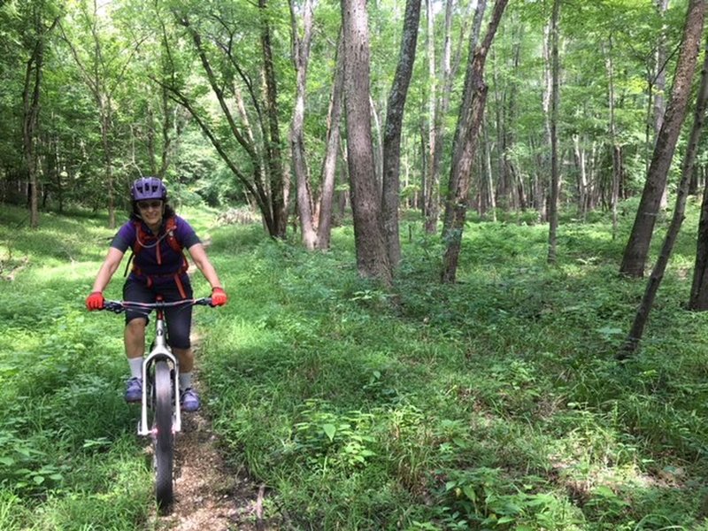 Julia enjoying the backcountry trails of Blue Creek Road in Hoosier ...