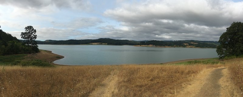 Henry Hagg Lake Mountain Bike Trail, Forest Grove, Oregon