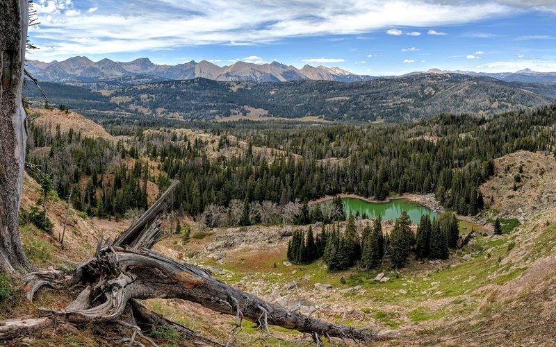 Little Wapiti-Pika Point Loop Mountain Bike Trail, Big Sky, Montana