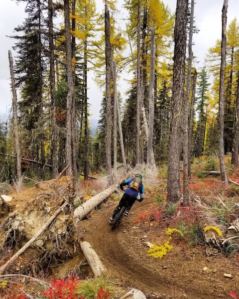 Classic fall scenery up at Mt Spokane.