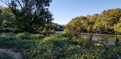 Mountain Bike Trails near Jim Terrell Park